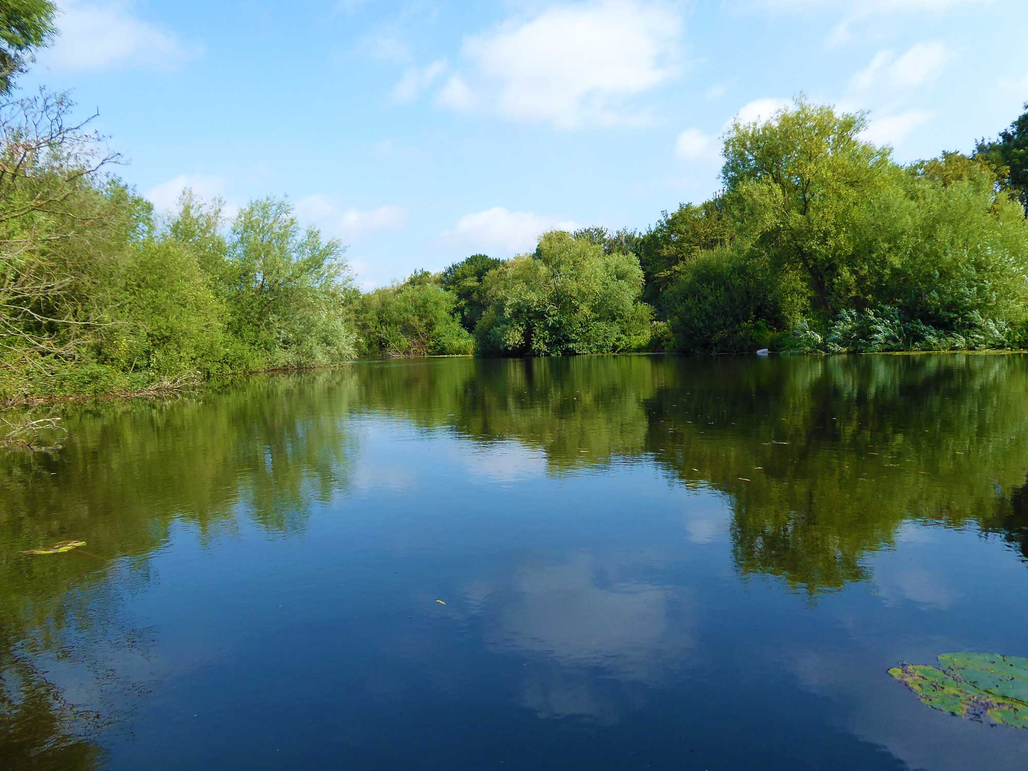 Bailey’s Creek - The Barham Lakes