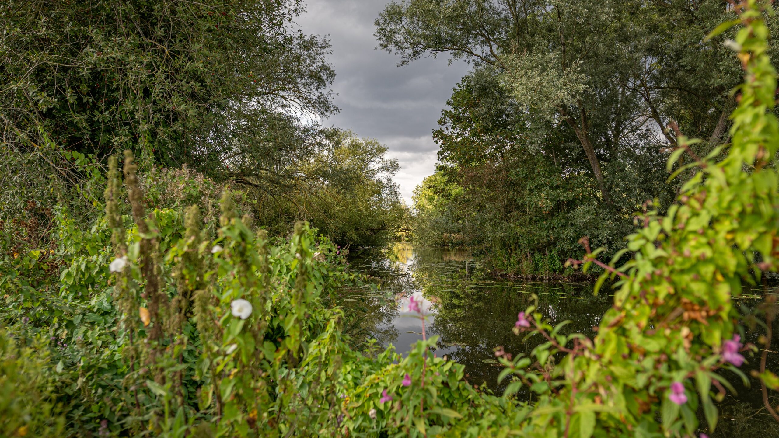 Leia Lagoon - The Barham Lakes